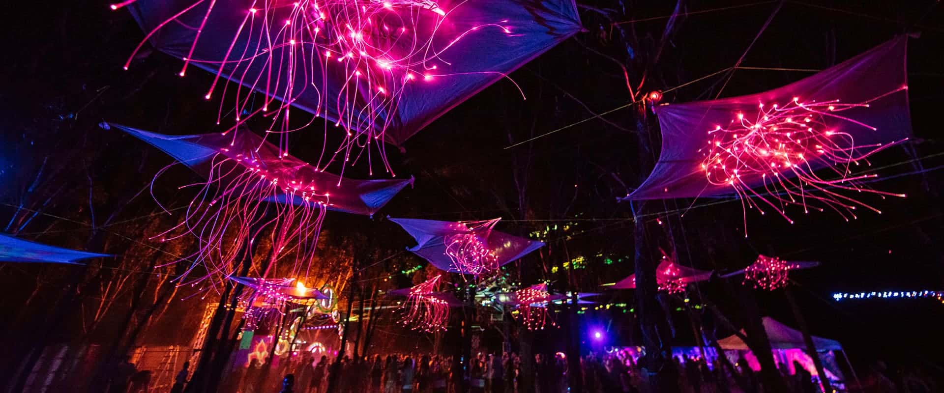 Program » Tree of Life Festival